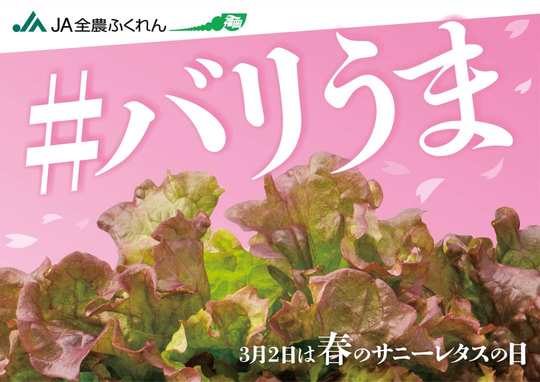 サニーレタスの日 Jaみい 野菜直販サイト「やさいと」