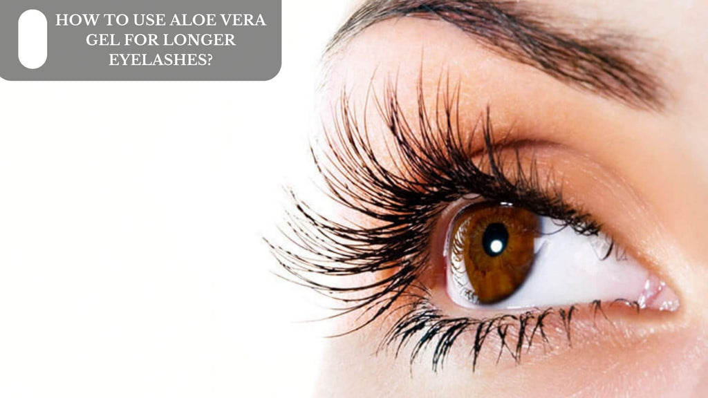 How To Use Aloe Vera Gel For Longer Eyelashes Moksha Lifestyle Products