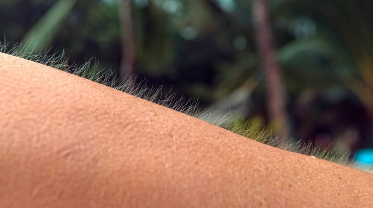 Cómo Quitar Los Pelos Del Brazo Meridian Meridian Grooming Chile