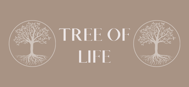 Tree Of Life Meaning Metaphysical Store