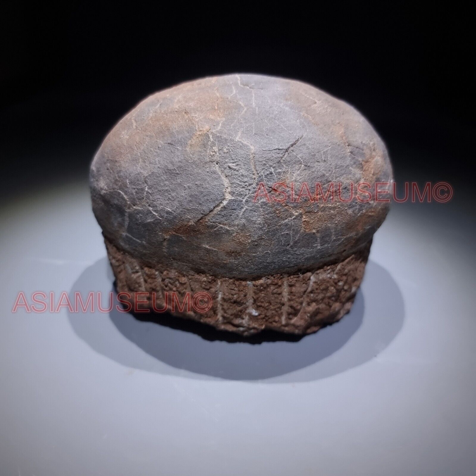 Dinosaur Eggs Asia Museum