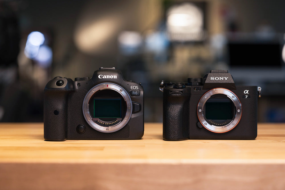 The Sony A7 Iv Vs Canon Eos R6