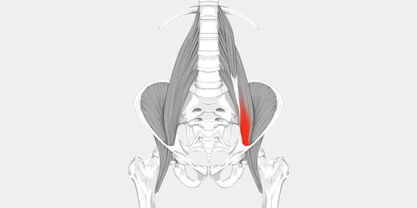 Hip Flexor Strain The Complete Injury Guide Vive Health