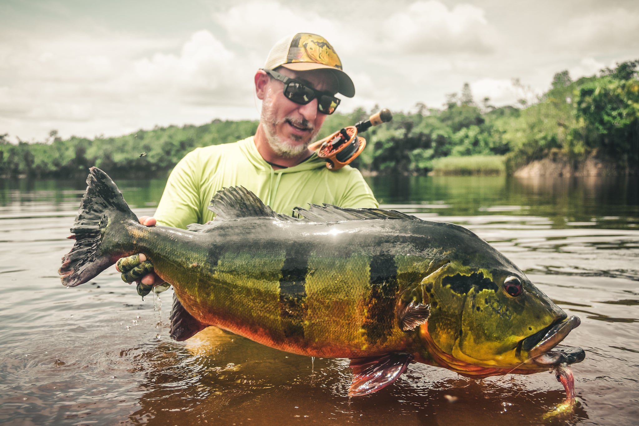 New World Record For Peacock Bass Thomas And Thomas