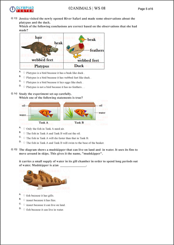 Class 2 Study Material Tagged Nso Worksheets Olympiad Tester