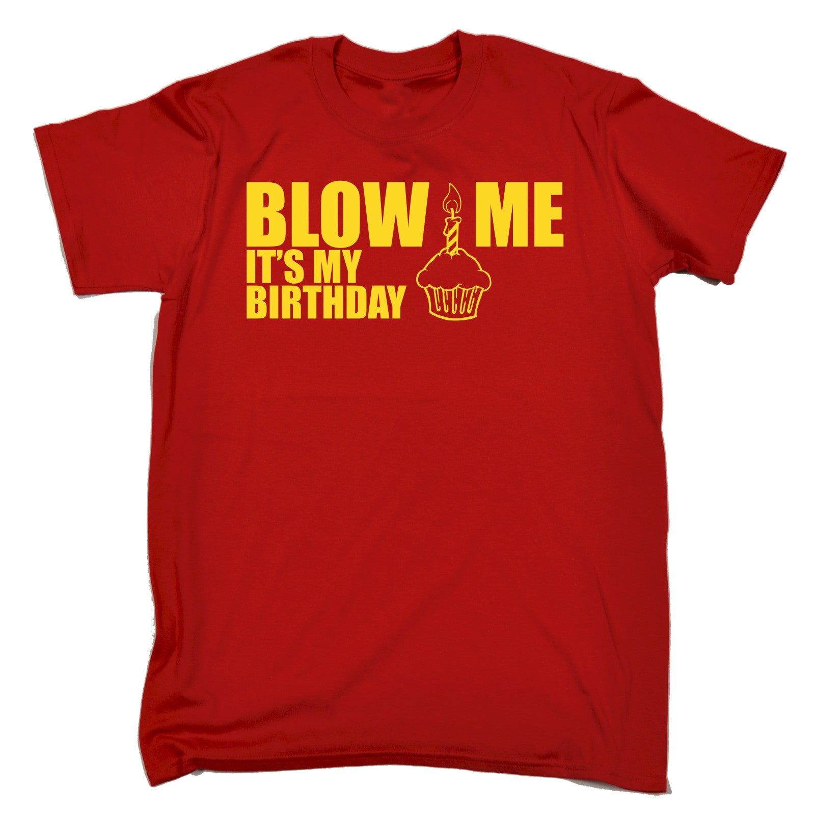 Blow Me Its My Birthday T Shirt Humor Offensive Blowjob Bj T Funny