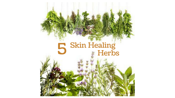 5 Skin Healing Herbs Herbn Eden