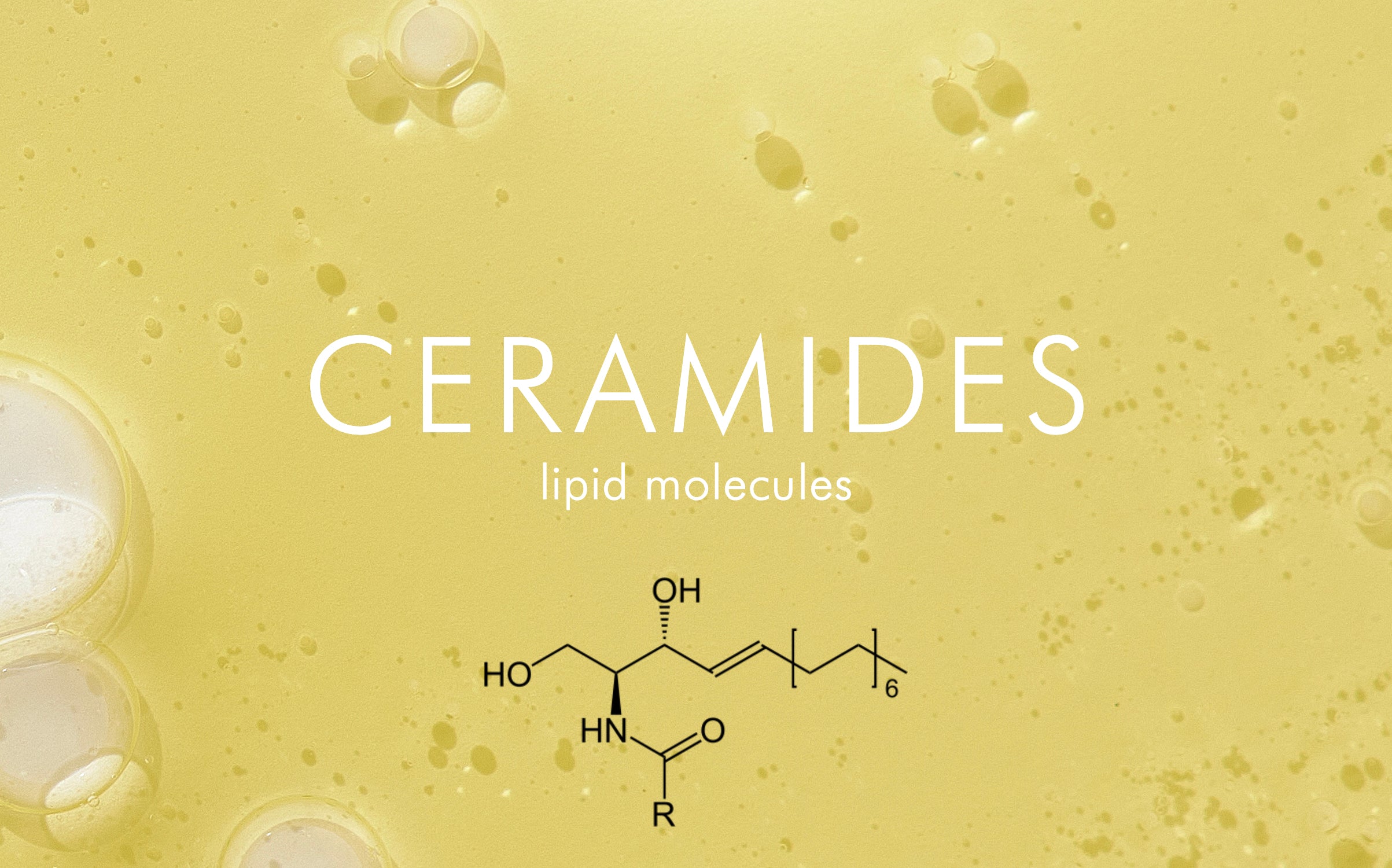 Ceramide