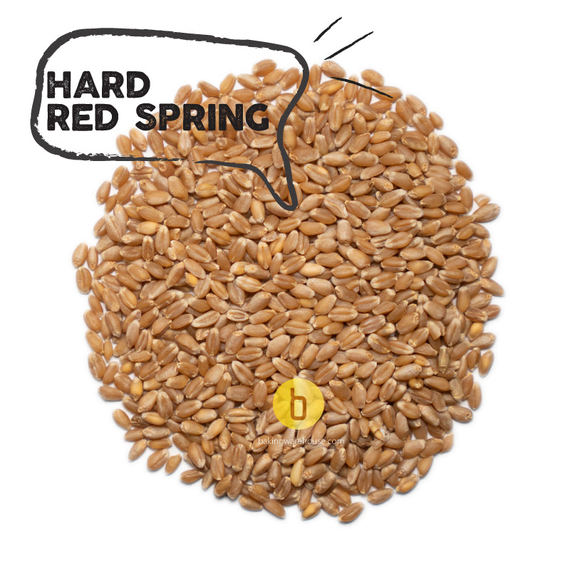 Hard Red Spring Wheat Berries Hong Kong Home Mill Flour