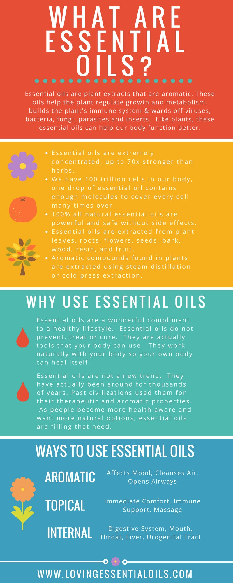 What Are Essential Oils And Why Use Them Loving Essential Oils