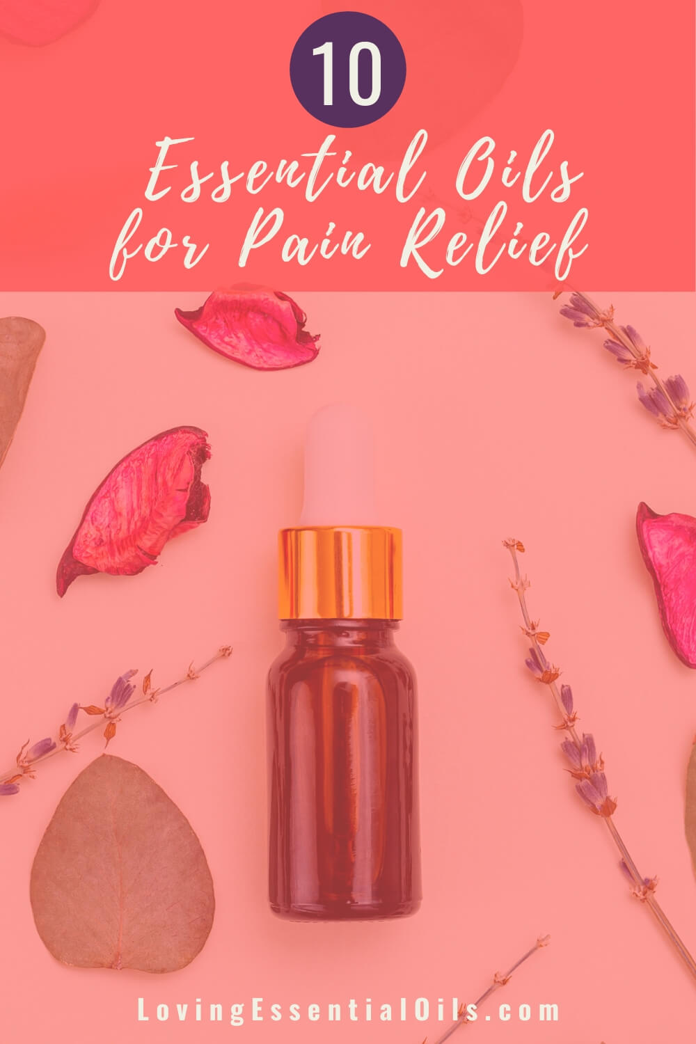 10 Essential Oils For Pain Relief With Diy Recipes And Blends Loving