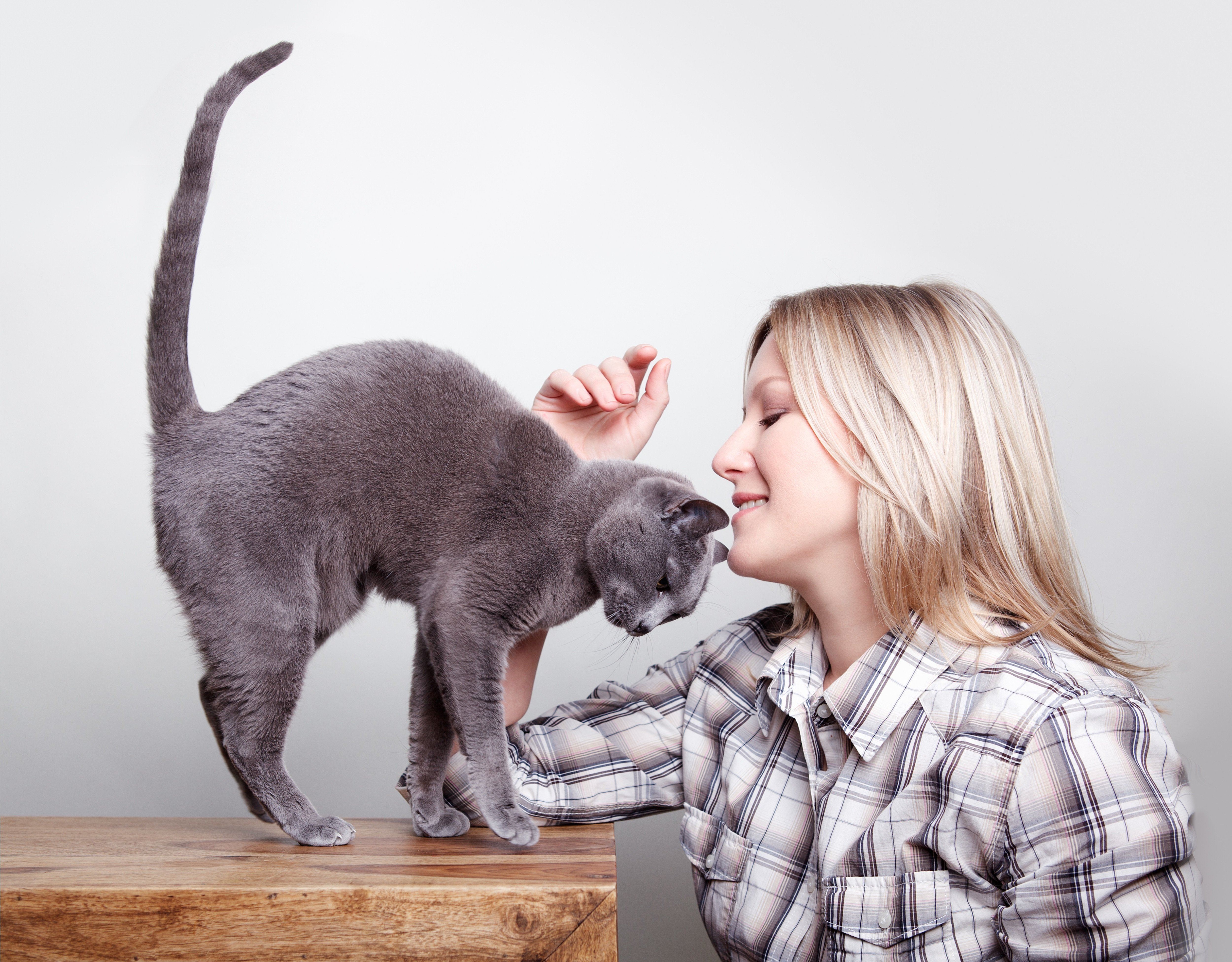 The Health Benefits Of Having A Cat Prettylitter