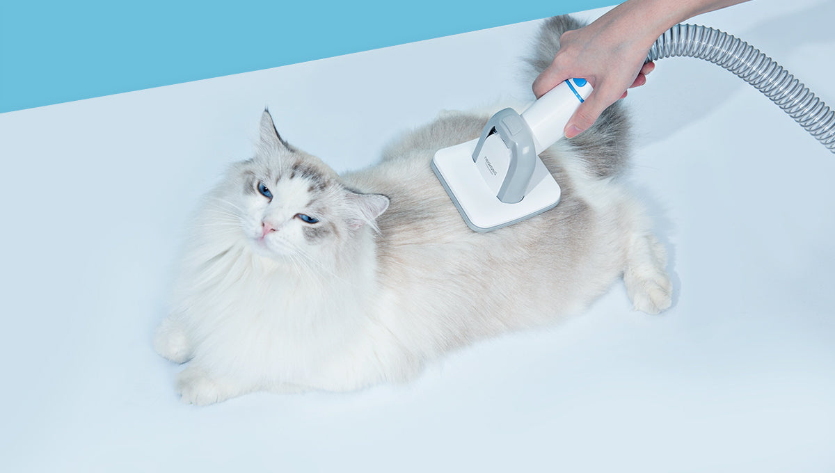 Revolutionize Your Dog Grooming Routine With Pet Grooming Vacuums