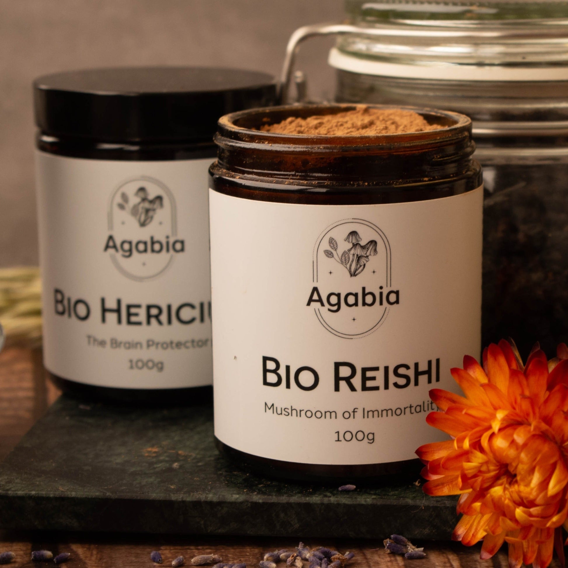 Mushroom Defence Bundle Chaga Reishi And Hericium Agabia