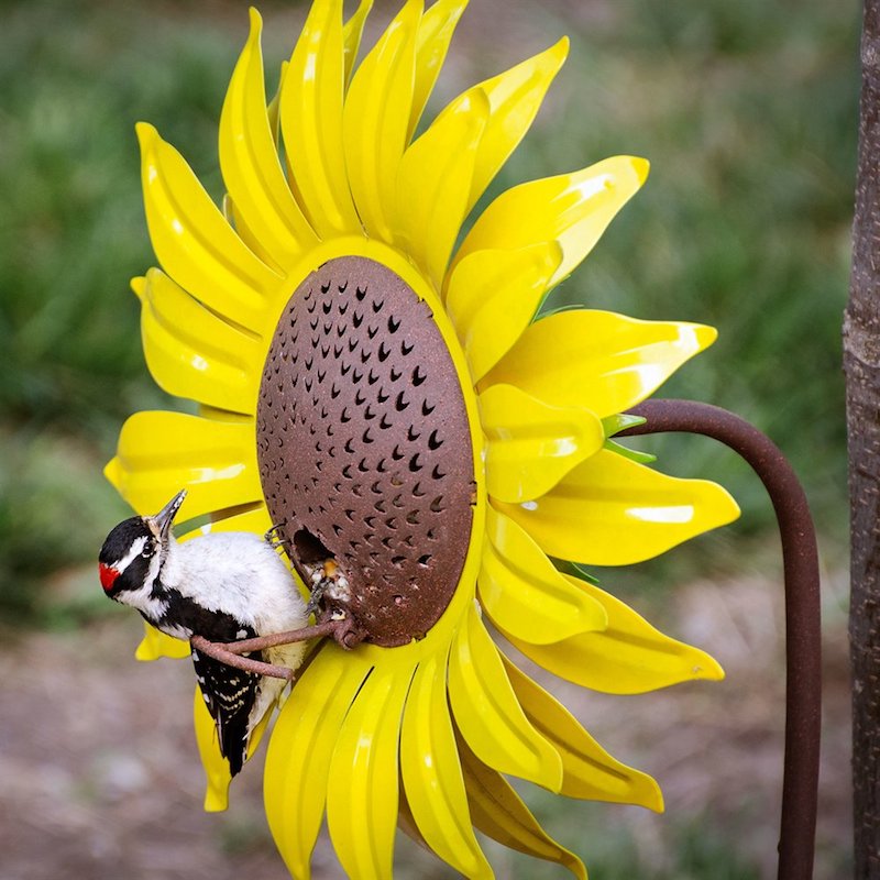 Sunflower Staked Bird Feeder Steel Sunflower Feeder Tall Bird