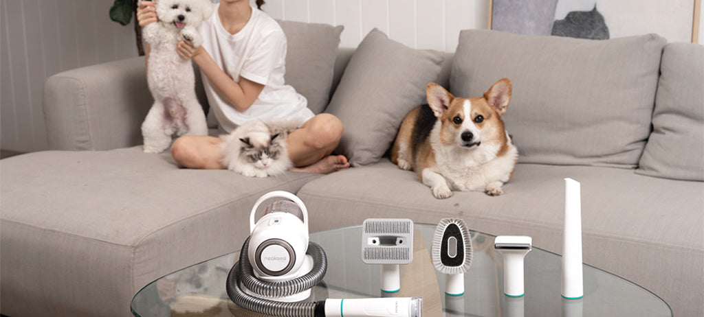 6 Reasons Why You Need A Vacuumable Grooming Kit Neakasa Official