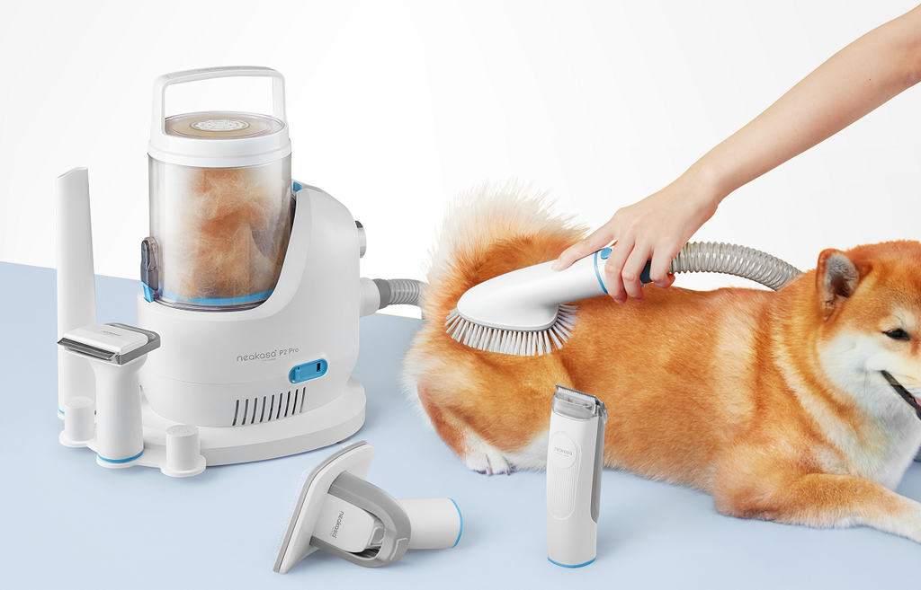 What Are Some Tips For Diy Dog Grooming At Home Neakasa Official