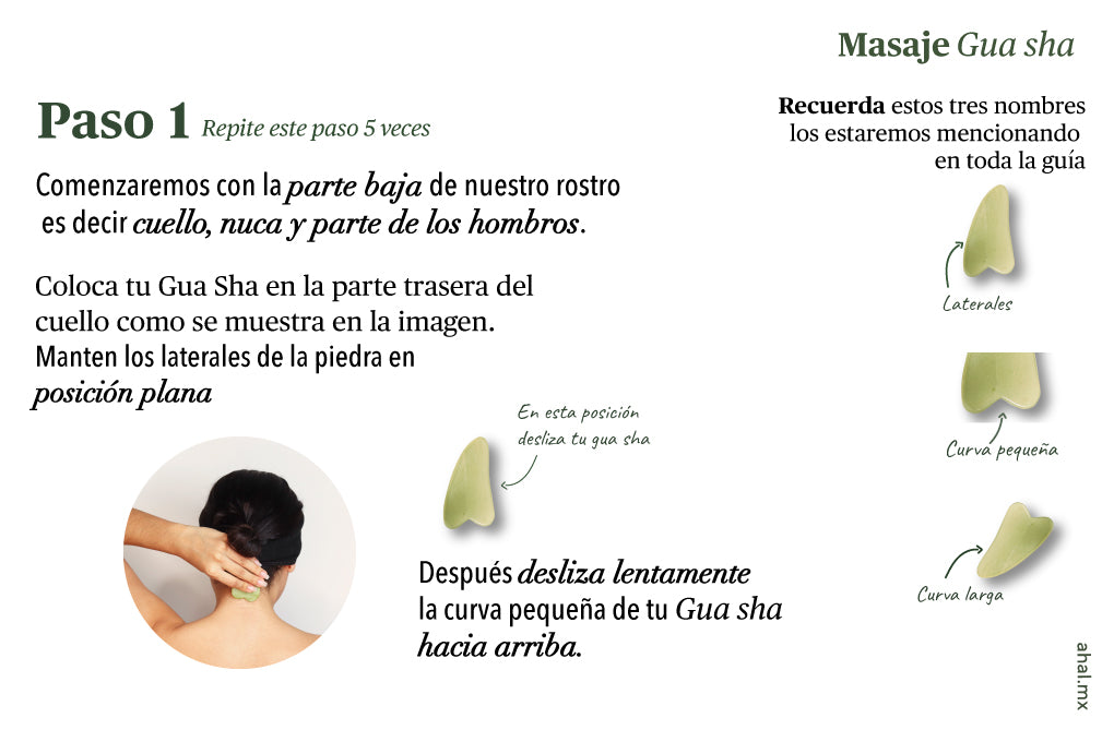 Guía Rápida Para Ser Una Gua Sha Expert Ahal Bio Cosmética