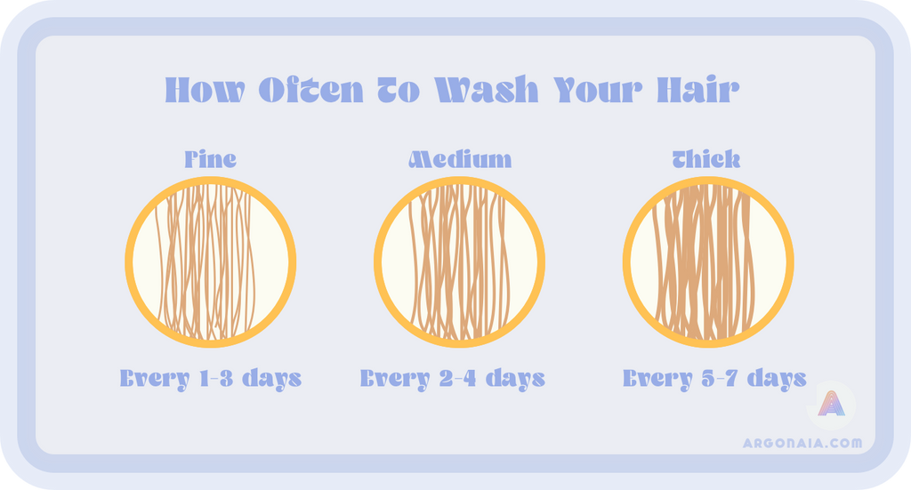 The Ultimate Guide To Oily Hair Argonaia