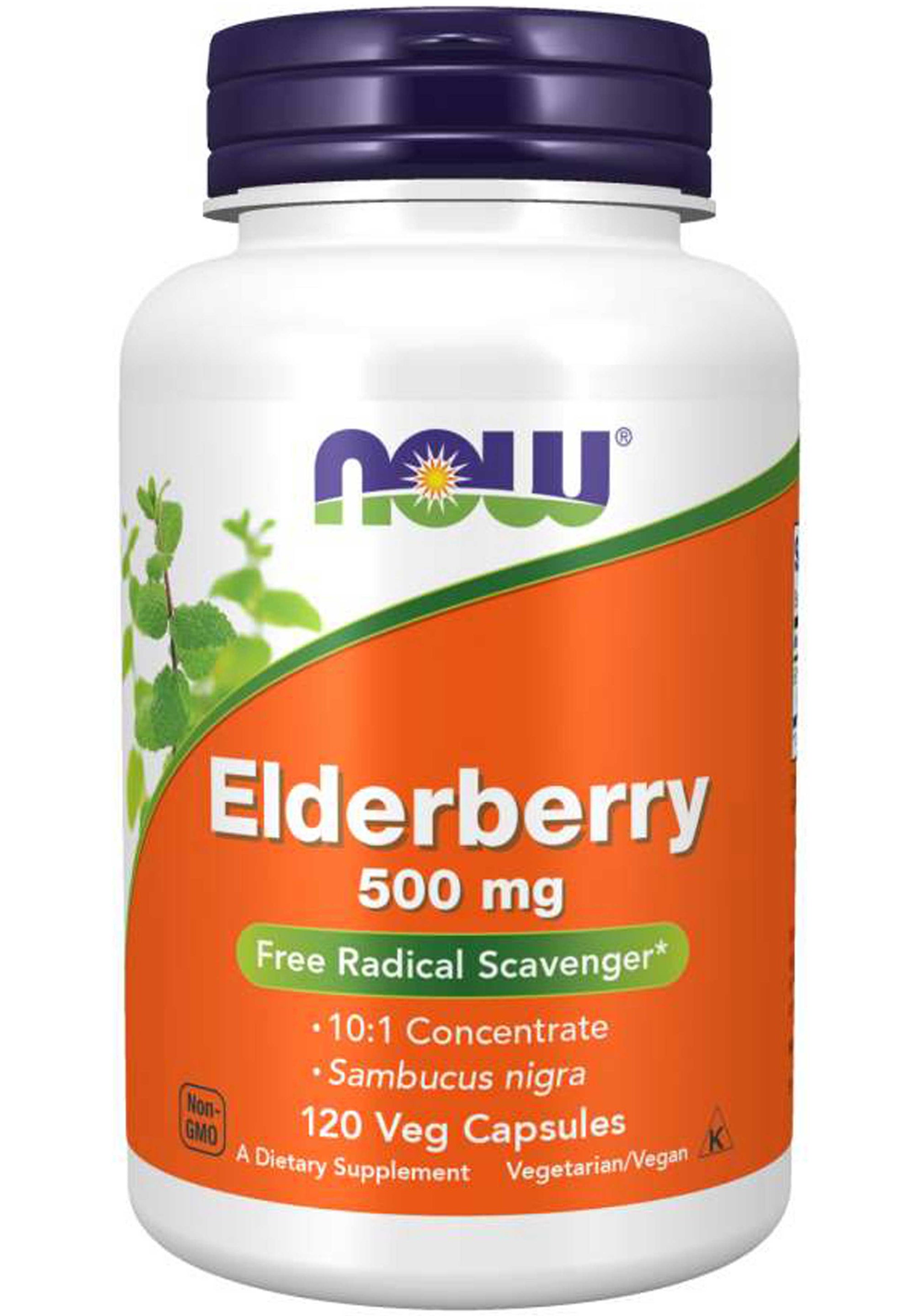 Now Elderberry Extract 500 Mg Supplement First