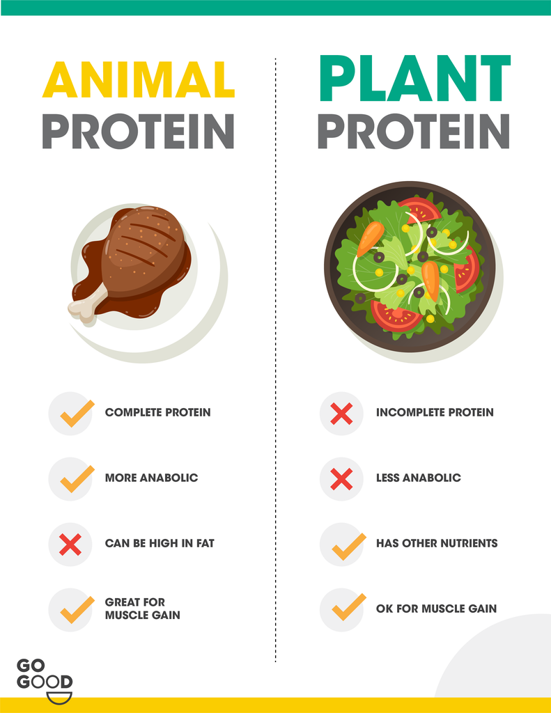 What Are The Differences Between Animal And Plant Based Protein Go