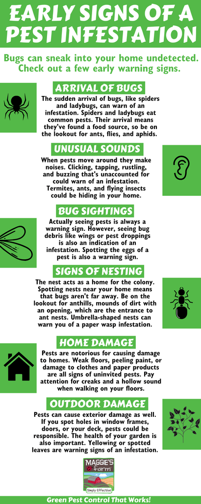 Early Signs Of A Pest Infestation Maggies Farm Ltd