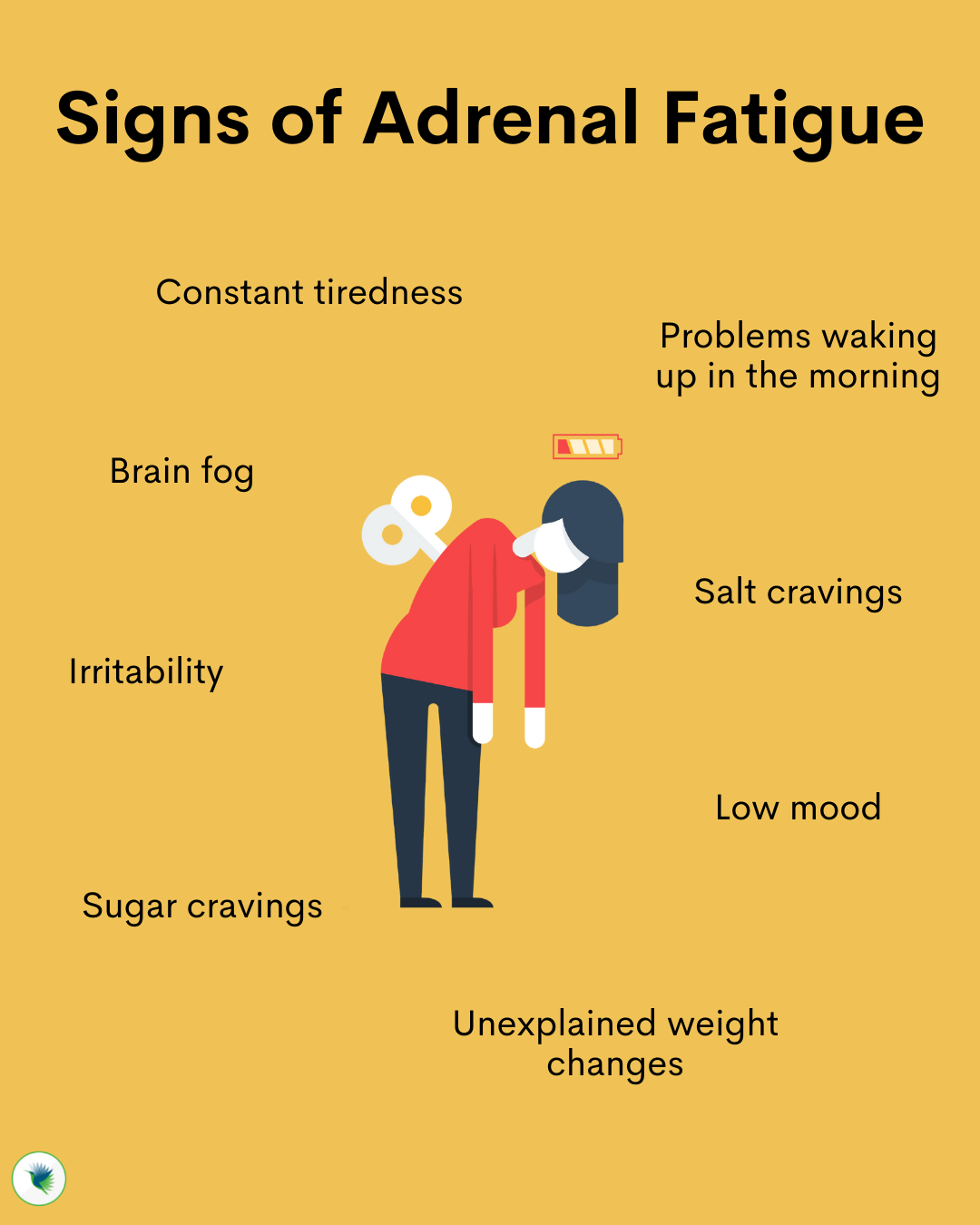 Adrenal Fatigue A Quick Guide Seeking Health