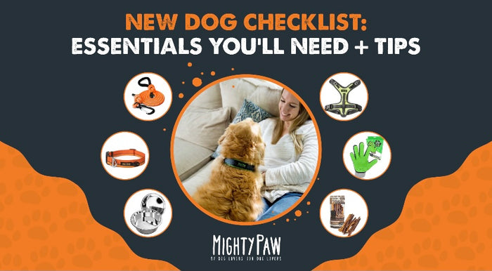 New Dog Checklist Essentials Youll Need Tips