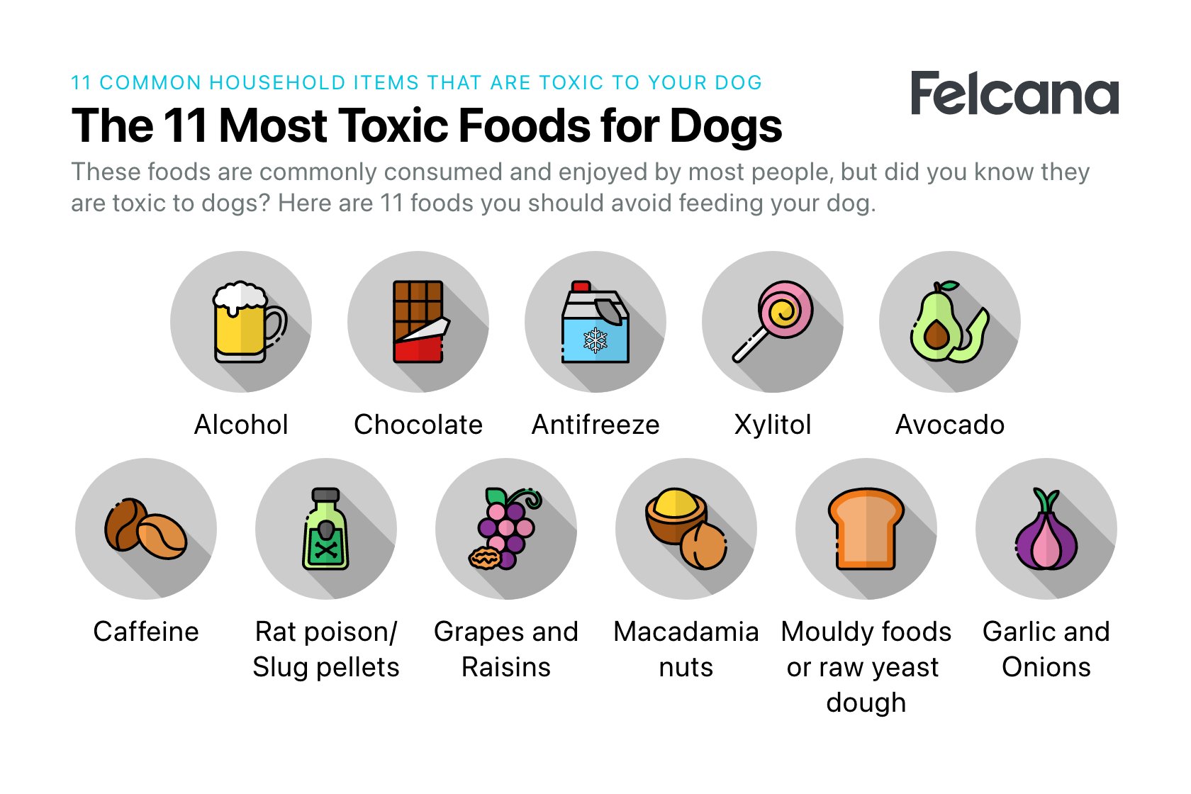 Top 11 Common Household Items Toxic To Dogs 2022 Felcana