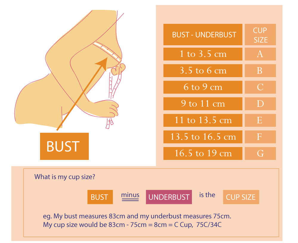 Cup Breast Size Chart Pictures