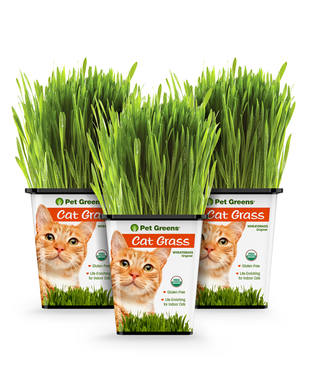 Pet Grass By Pet Greens