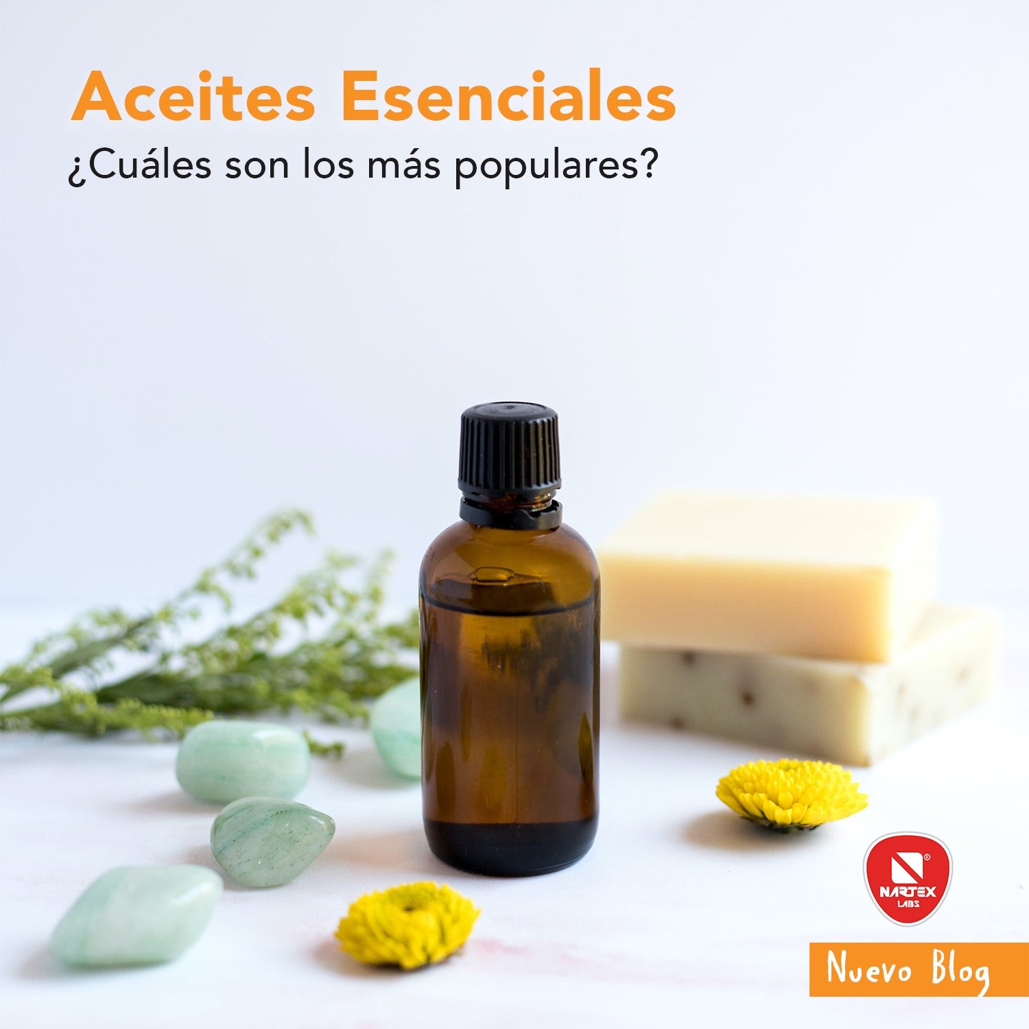 Aceites Esenciales Qué Son Y Para Qué Se Usan Farmahabit