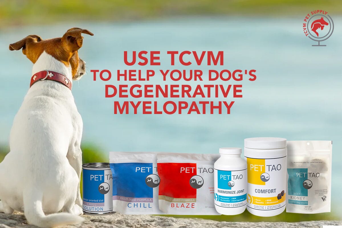 How To Help Degenerative Myelopathy In Dogs Naturally Tcvm Pet Supply