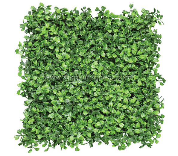 Boxwood Mat Tile Green Pack Of 1 Ckd Ng6127s Silkplantsdirect