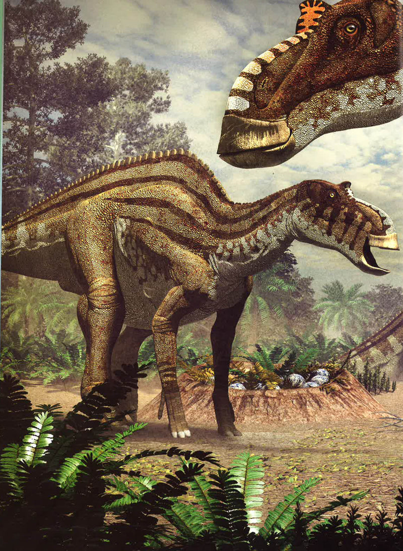 Herbivorous Dinosaurs Bookxcess Online