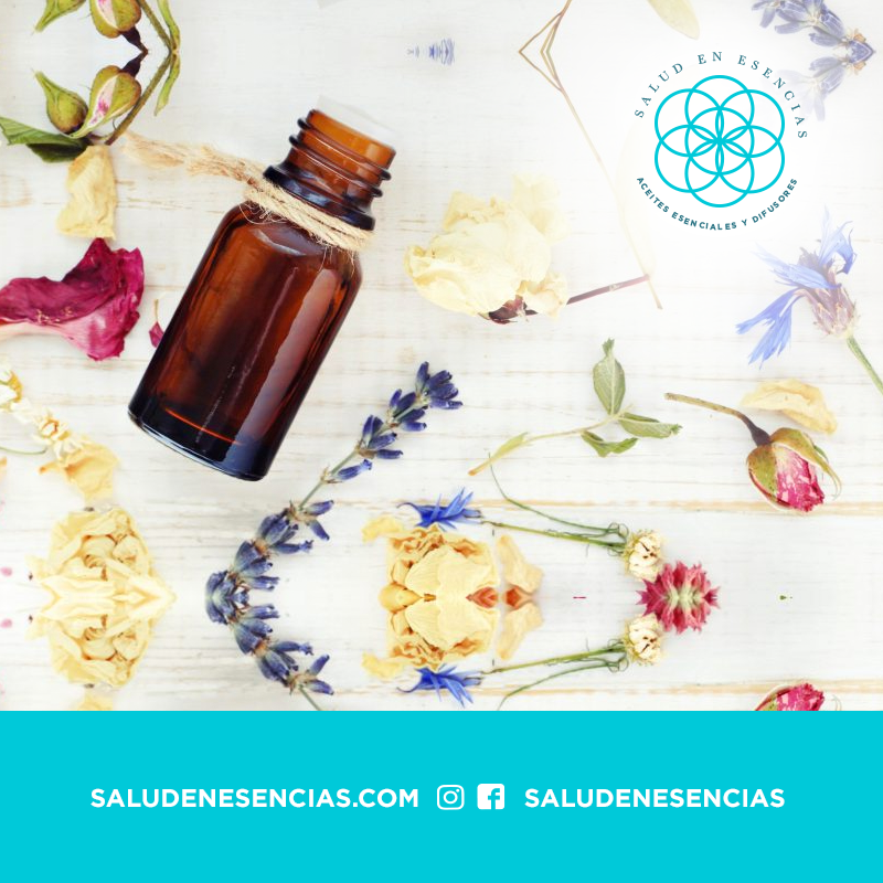 Aceites Esenciales Y Sus Beneficios Saludenesencias