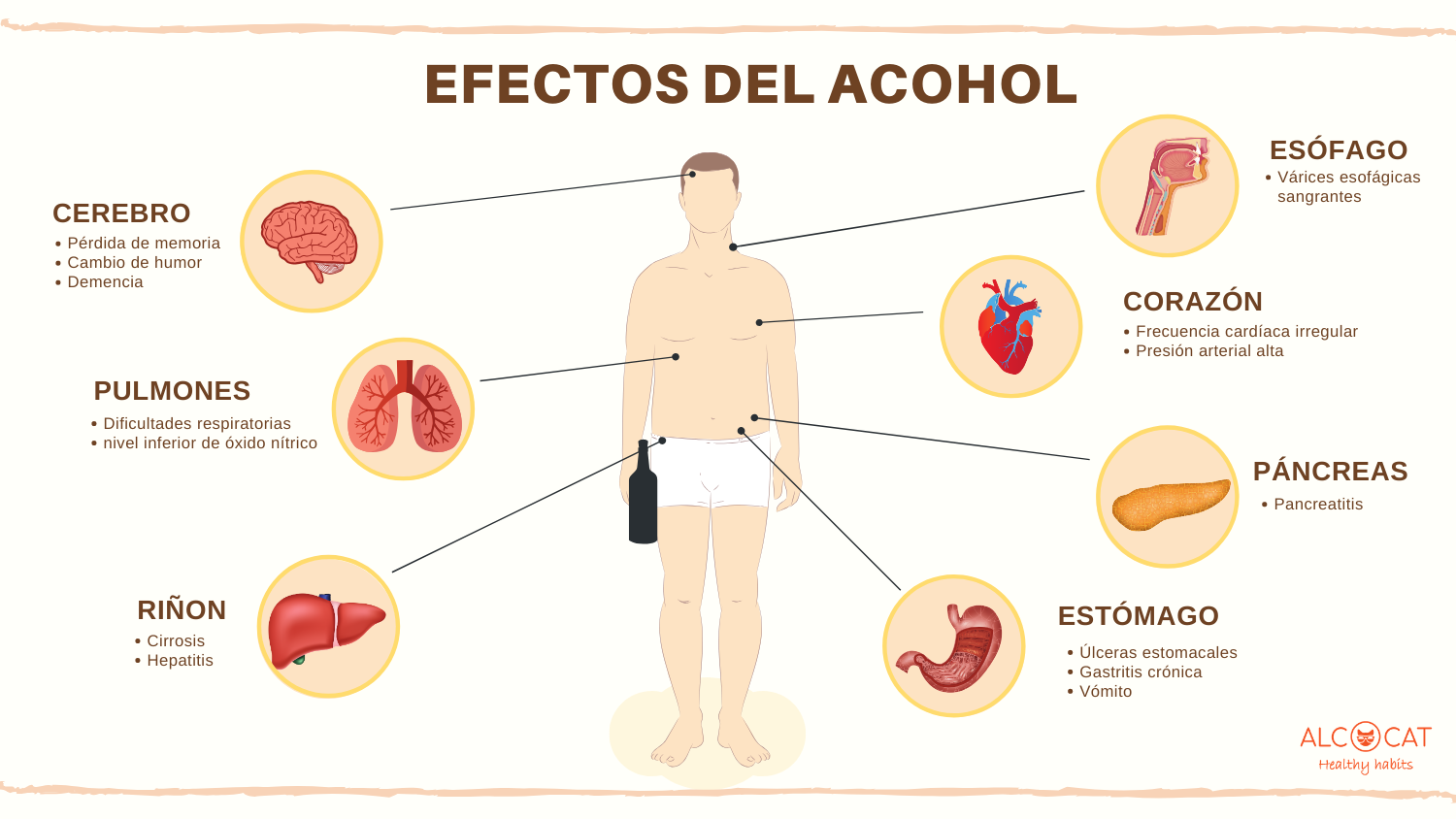 Consumo De Alcohol On Emaze