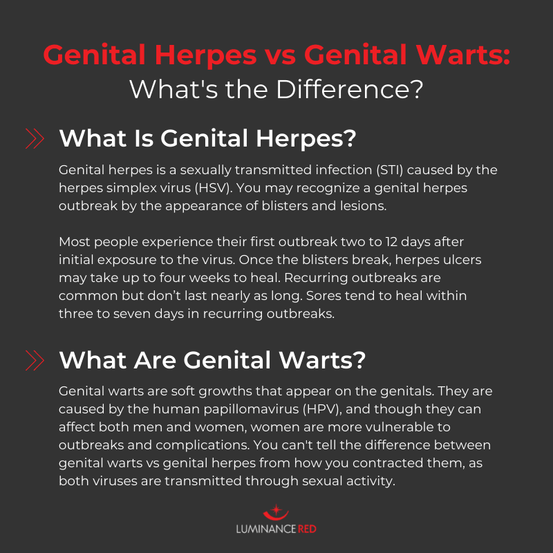Genital Warts Vs Genital Herpes How To Spot The Difference
