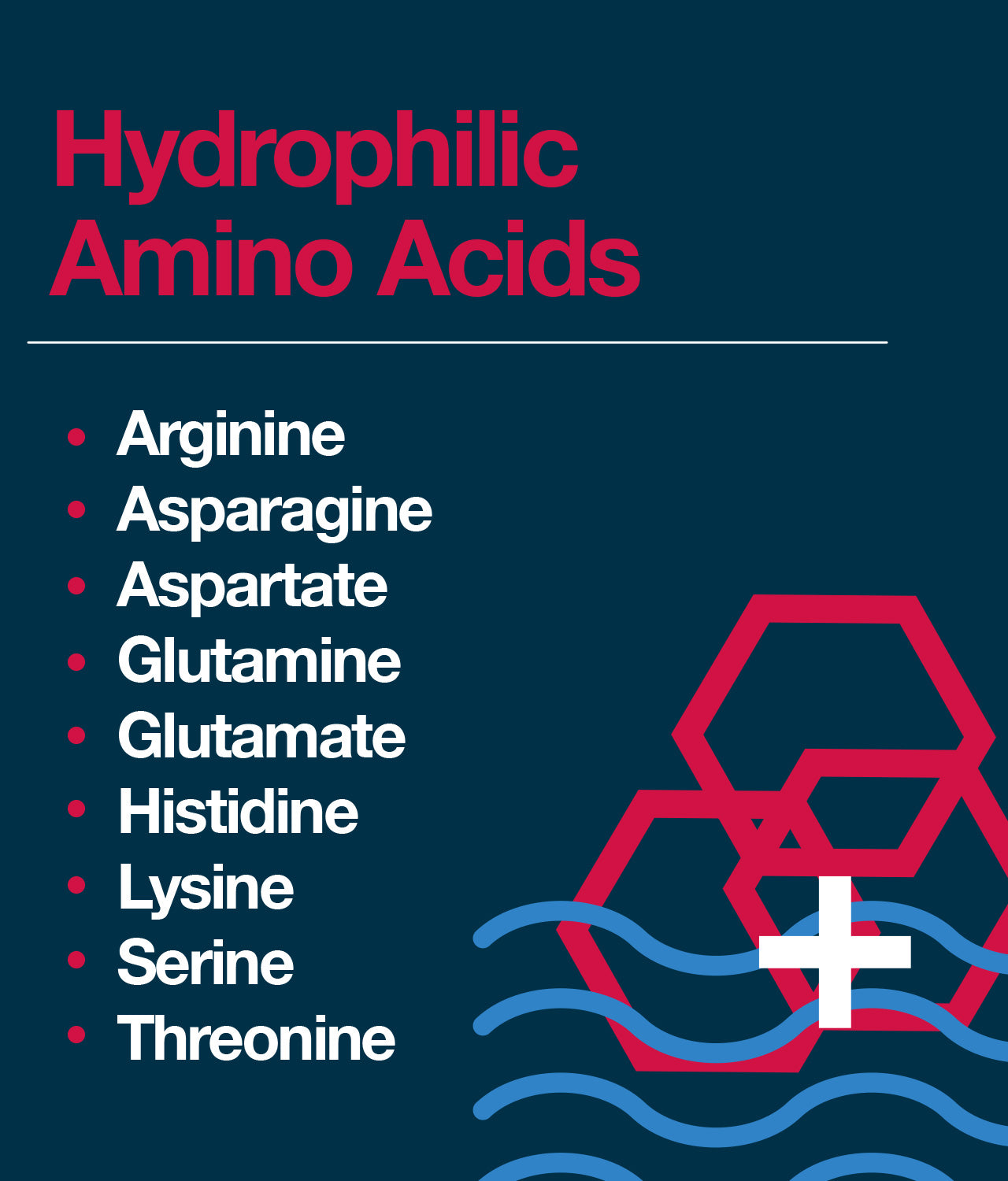 Hydrophobic And Hydrophilic Amino Acids