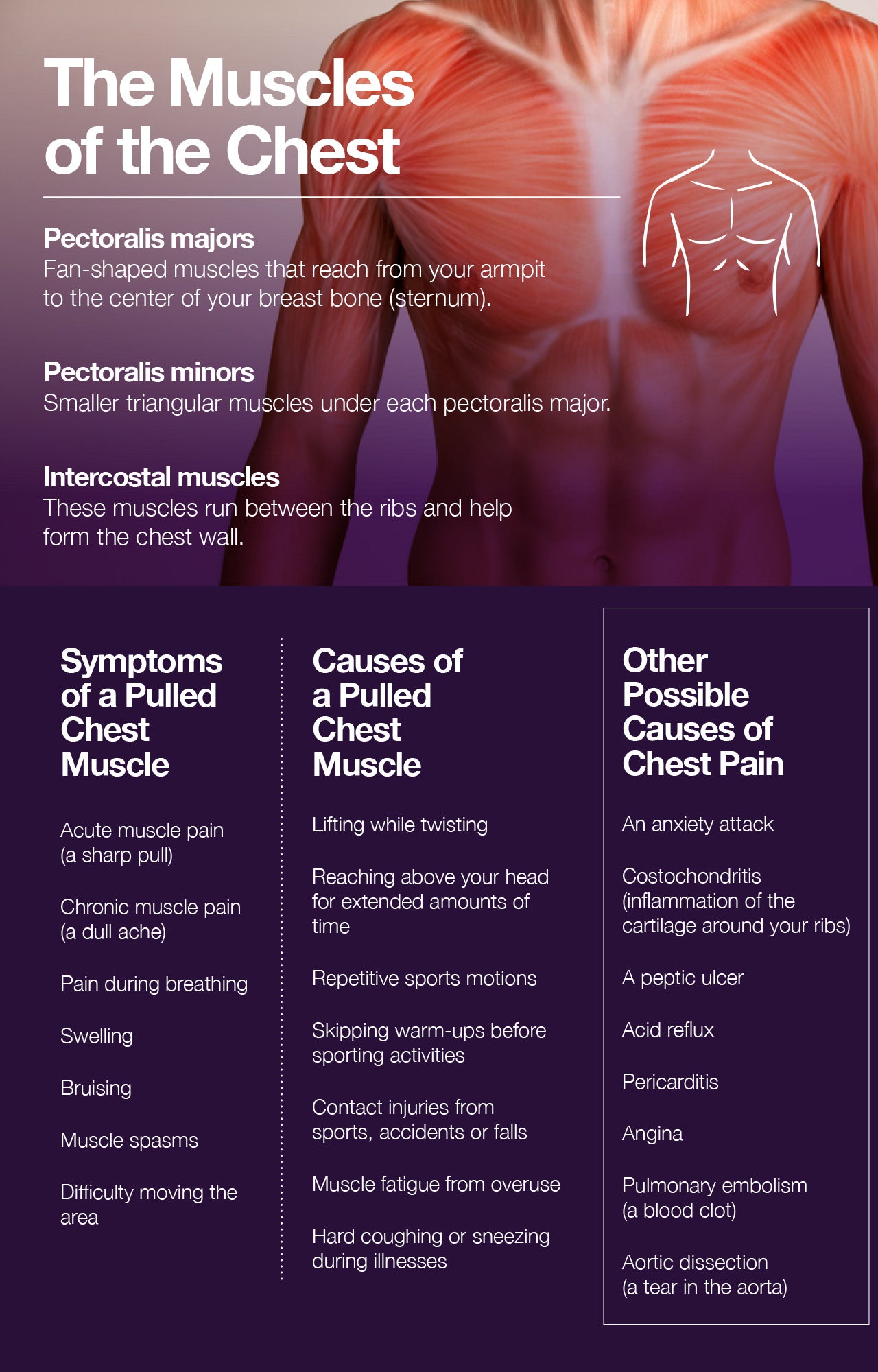 Pulled Chest Muscle Symptoms Causes And Treatment The Amino Company