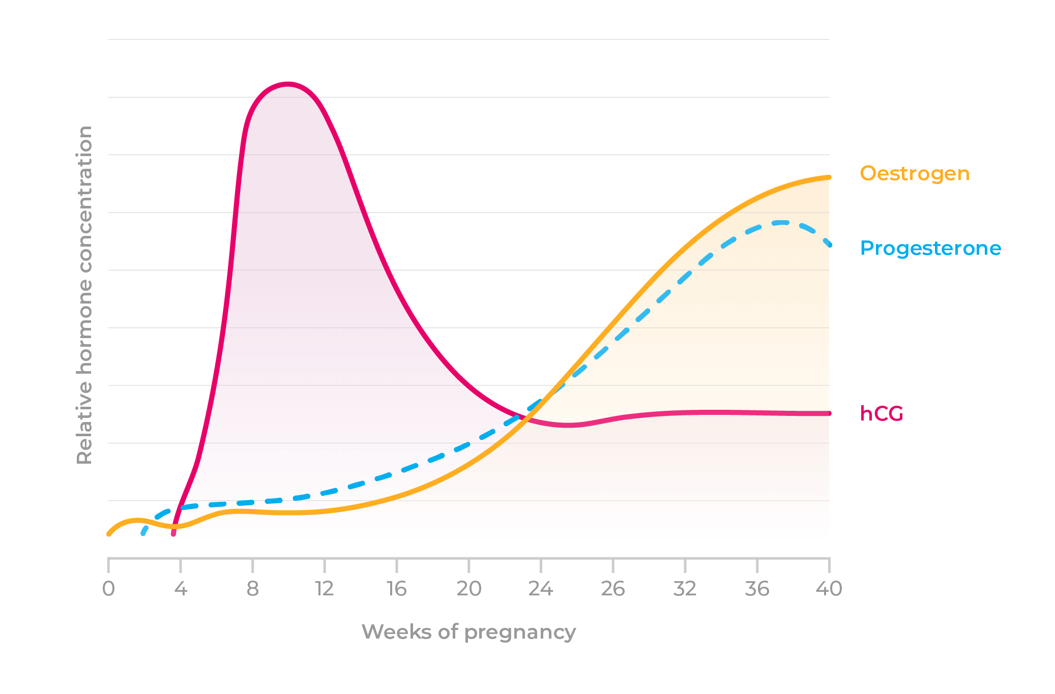 The Hormones Of Pregnancy Hcg