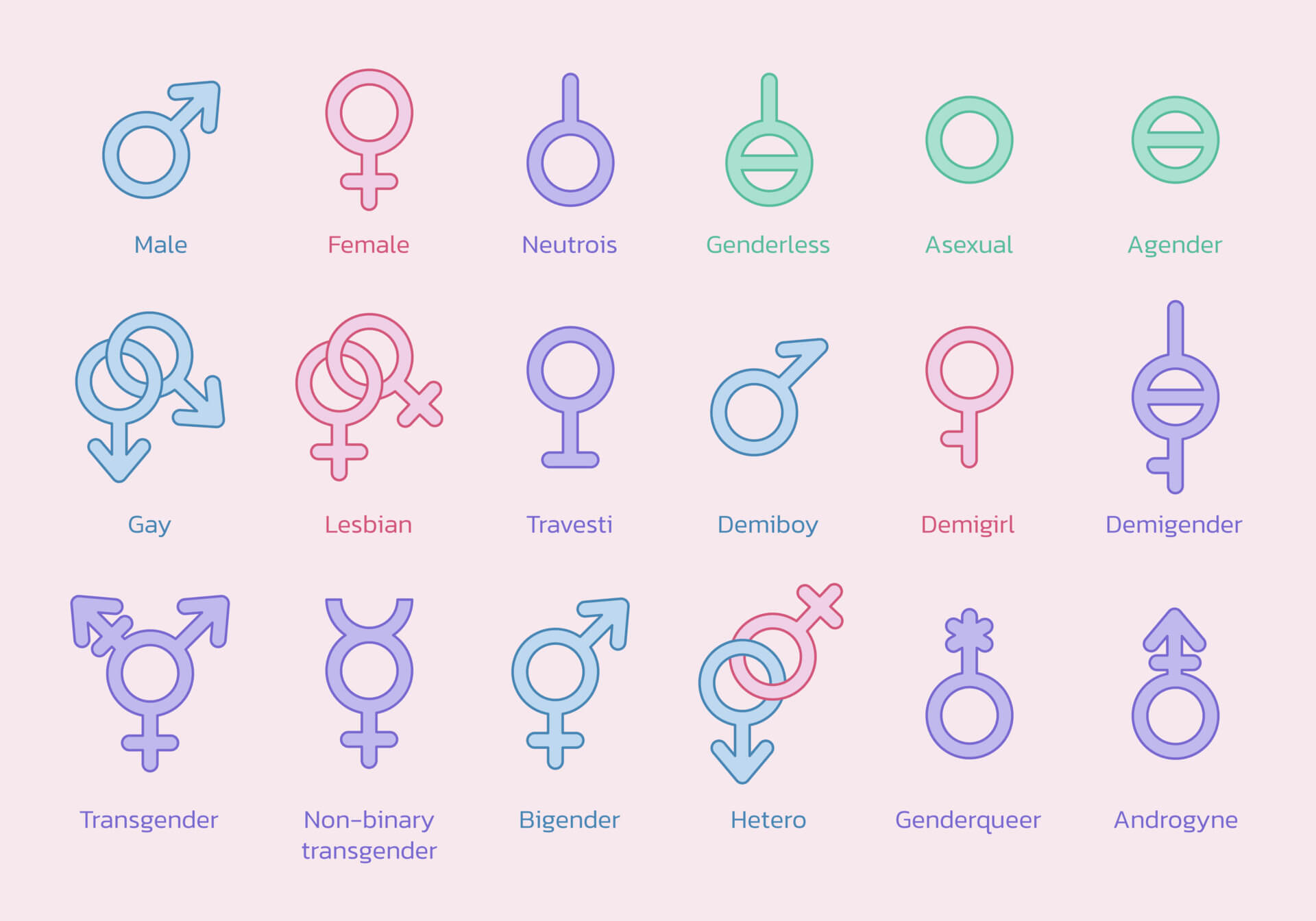 Découvrez Les Différents Types Dorientations Sexuelles And Lgbt First