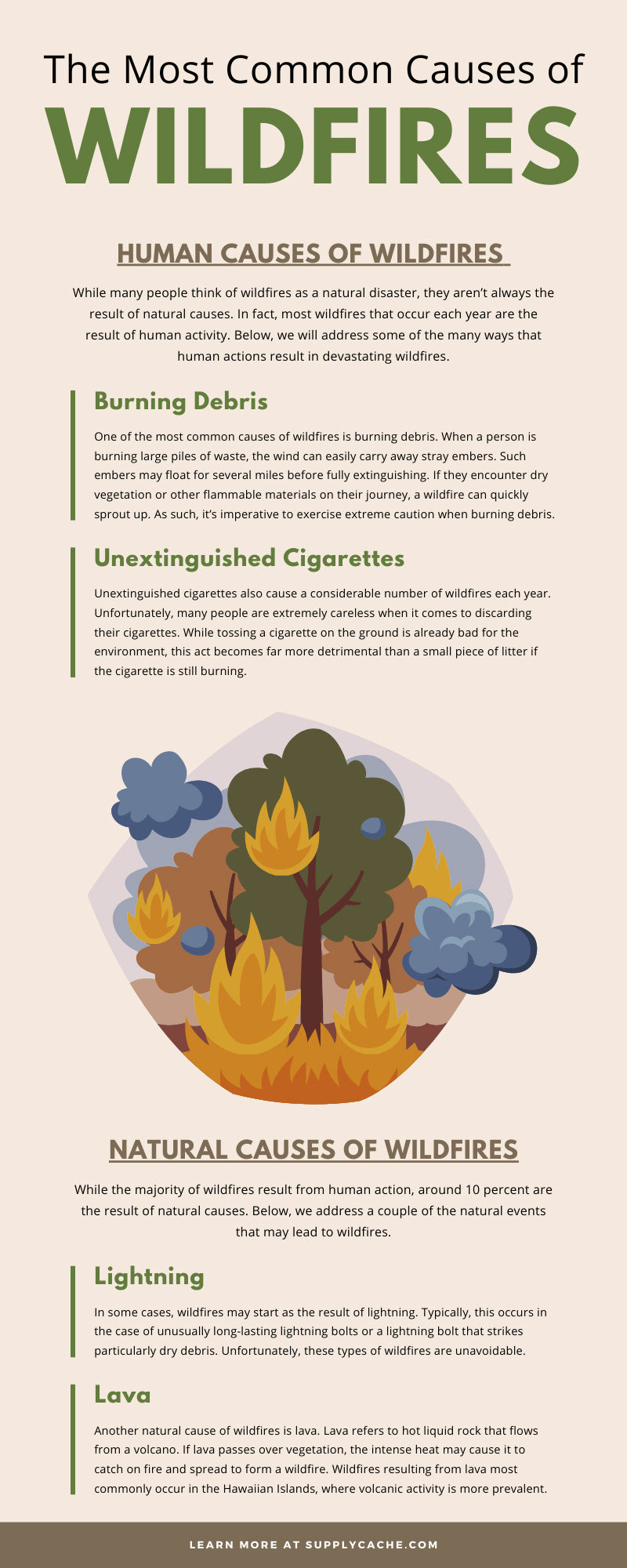 The Most Common Causes Of Wildfires