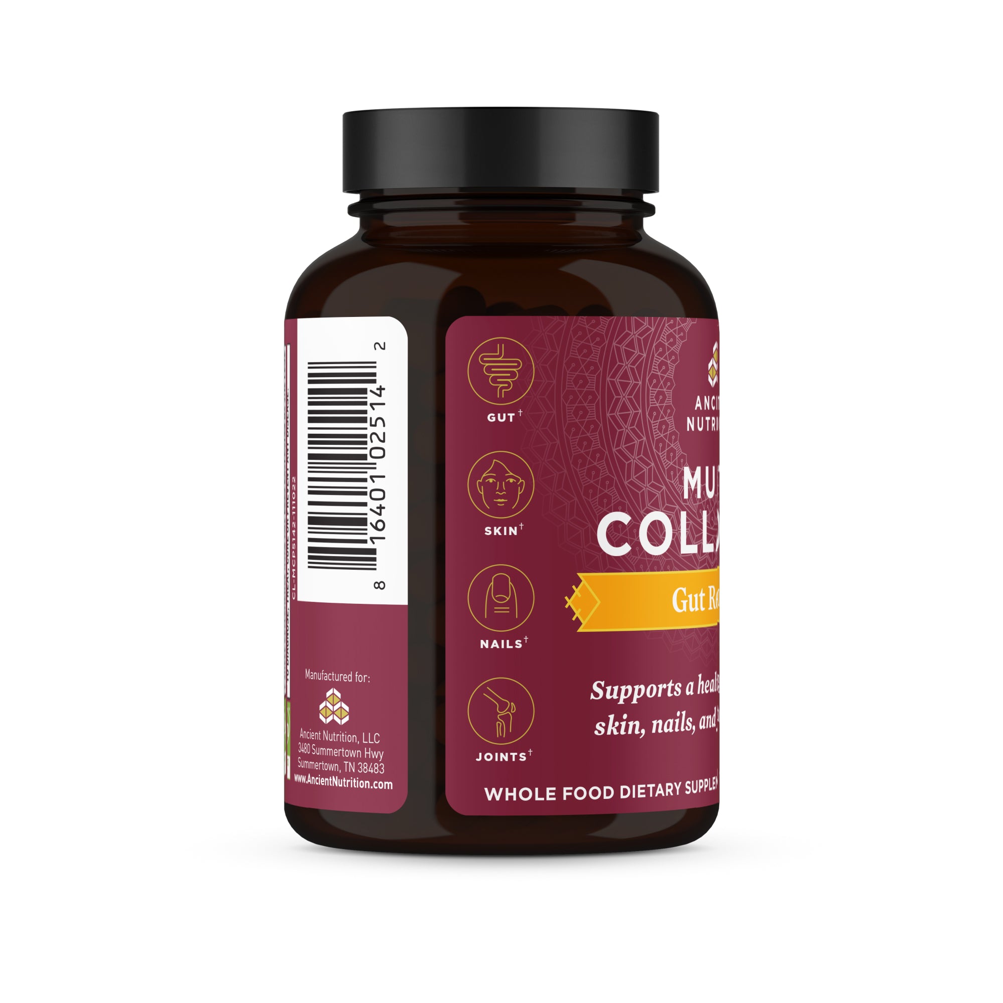 Multi Collagen Gut Restore Ancient Nutrition Dr Axe