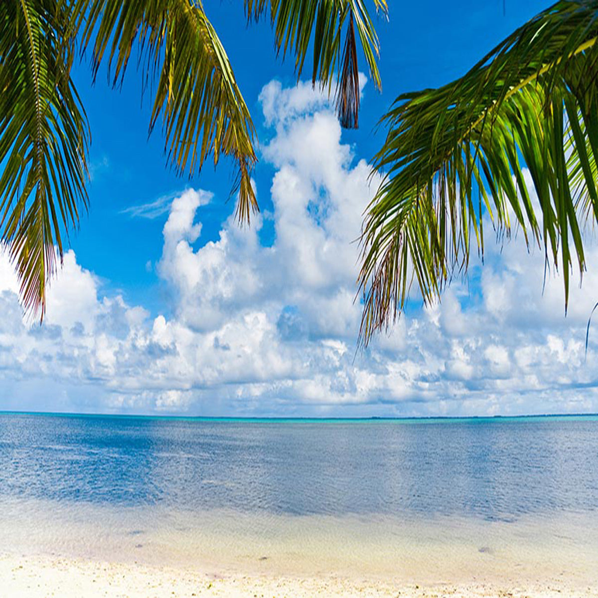 Beach Virtual Background Zoom