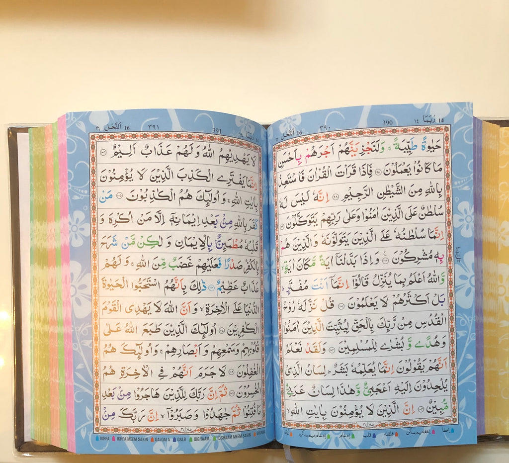 Colour Coded Tajweed Quran Pdf Thisisbap