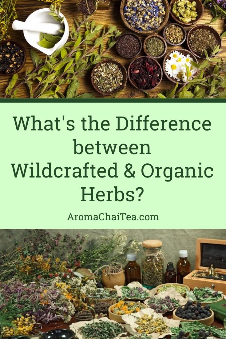 Whats The Difference Between Wildcrafted And Organic Herbs