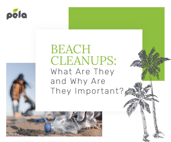 Beach Cleanups What Are They And Why Are They Important Pela Case