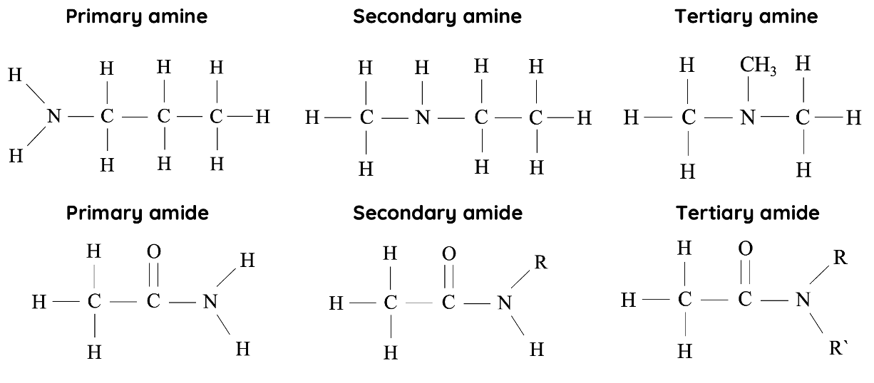 Amine Vs Amide Structure