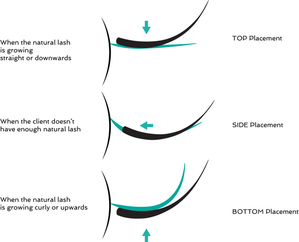 How To Correctly Attach Lash Extensions